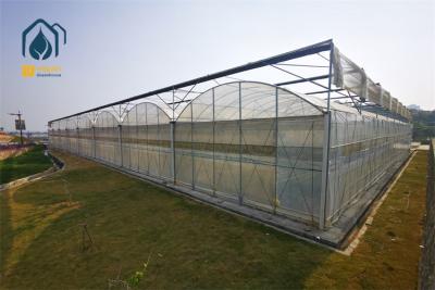 China Multi Span Greenhouse For Modern Garden Hydroponic System Cultivation for sale