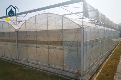 China Multi Span Greenhouse Farming Agriculture Clear Plastic Greenhouse Design for sale