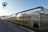China Commercial Multi Span Greenhouse with High Light Transmittance, Good Ventilation, and UV Stabilized PE Film for sale