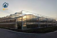 China Large Plastic Multi Span Greenhouse Metal Frame Plastic Greenhouse for sale