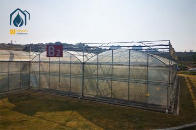 China Steel Frame Multi Span Greenhouse Commercial Hydroponic Greenhouse System for sale