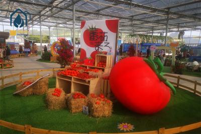 China High Light Transmittance Multi Span Greenhouse with Good Ventilation and Strong Structure for Horticulture for sale