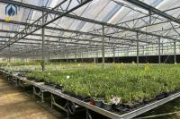 China Multi Span Nursery Greenhouse Prefabricated with High Light Transmittance Good Ventilation and Strong Structure for sale