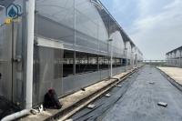 China Prefabricated Hydroponic Multi Span Greenhouse with UV Stabilized PE Film and Customizable Dimensions for Herb Production for sale