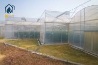 China Multi Span Plastic Greenhouse with High Light Transmittance Good Ventilation and Strong Structure for sale