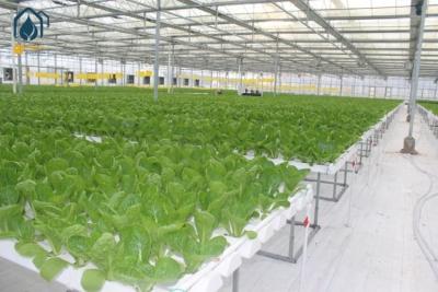 China High Light Transmittance Multi Span Herb Greenhouse with Good Ventilation and Strong Structure for sale