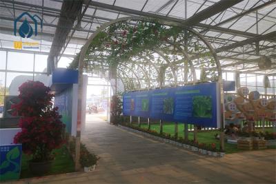 China High Light Transmittance Multi Span Greenhouse with Good Ventilation and Strong Structure for Commercial Farming for sale