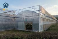 China Smart IoT Controlled Multi Span Greenhouse with Remote Mobile App Monitoring and Automated Climate Management for sale