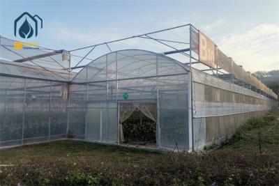 China Smart IoT Controlled Multi Span Greenhouse with Remote Mobile App Monitoring and Automated Climate Management for sale