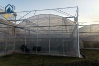 China Rainwater Collection Gutter Multi Span Greenhouse with Water Recycling System for Sustainable Agriculture for sale