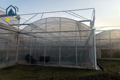 China Rainwater Collection Gutter Multi Span Greenhouse with Water Recycling System for Sustainable Agriculture for sale