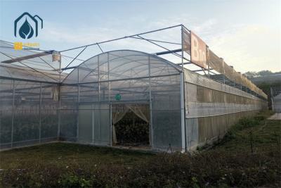 China Solar Powered Multi Span Greenhouse with Photovoltaic Panels for Off-Grid Sustainable Eco Friendly Farming for sale