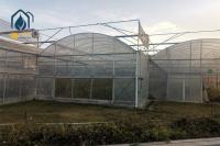 China All Season Commercial Multi Span Greenhouse with Supplemental LED Grow Light Integration... for sale