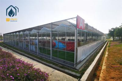 China Quick Assembly Modular Multi Span Greenhouse with Pre-Cut Components and Video Guide... for sale