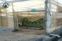 China Prefabricated Bolt-Together Multi Span Greenhouse with Detailed Installation Manual... for sale