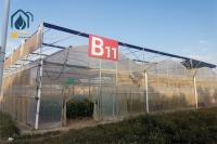 China Turnkey Multi Span Greenhouse Project with Complete Installation and Commissioning Service... for sale