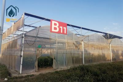 China Turnkey Multi Span Greenhouse Project with Complete Installation and Commissioning Service... for sale