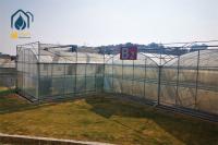 China Turnkey Multi Span Greenhouse Project with Complete Installation and Commissioning Service... for sale