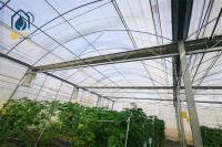 China Full Enclosure Insect Protection Multi Span Greenhouse with 60 Mesh Fine Netting... for sale
