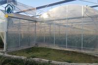 China Anti-Aphid 40 Mesh Nylon Insect Proof Multi Span Greenhouse for Organic Vegetable Farming... for sale