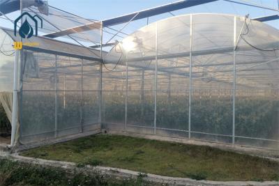 China Anti-Aphid 40 Mesh Nylon Insect Proof Multi Span Greenhouse for Organic Vegetable Farming... for sale