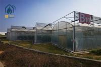 China 50 Mesh Insect Net Multi Span Greenhouse with Integrated Side Vent Screens WELLGAIN Agricultural Greenhouse Solution for sale