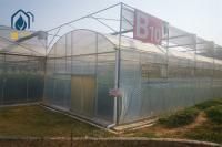China Crystal Clear High Transparency Multi Span Greenhouse for Flower and Seedling Growth... for sale