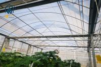 China Crystal Clear High Transparency Multi Span Greenhouse for Flower and Seedling Growth... for sale