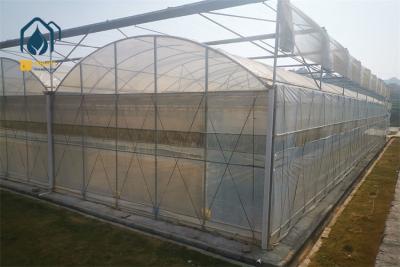 China 10mm Multi-Wall Polycarbonate Covered Greenhouse with Anti-Condensation Coating... for sale