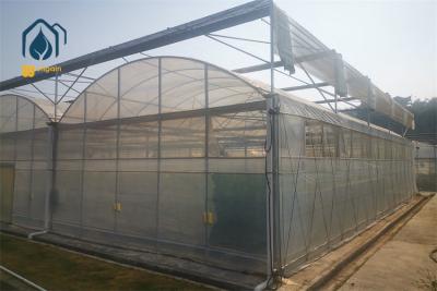 China 4mm UV Protected Polycarbonate Sheet Greenhouse with High Impact Resistance WELLGAIN Agricultural Greenhouse Solution for sale