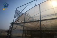 China 8mm Twin-Wall Polycarbonate Panel Multi Span Greenhouse with Superior Insulation... for sale