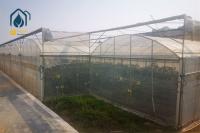 China Dual Internal and External Shading Multi Span Greenhouse for Light Sensitive Crops... for sale