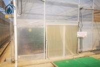 China External Sunshade Net Multi Span Greenhouse with Motorized Black Shade Screen WELLGAIN Agricultural Greenhouse Solution for sale