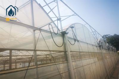 China Integrated Drip and Sprinkler Irrigation Multi Span Greenhouse with Fertilizer Injection... for sale