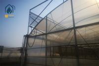 China Integrated Drip and Sprinkler Irrigation Multi Span Greenhouse with Fertilizer Injection... for sale