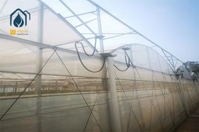 China Precision Drip Irrigation Multi Span Greenhouse with Automatic Watering Timer Control... for sale