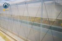 China Precision Drip Irrigation Multi Span Greenhouse with Automatic Watering Timer Control... for sale