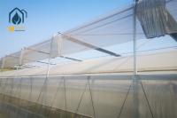 China Deep Water Culture DWC Multi Span Greenhouse for Lettuce and Herb Cultivation WELLGAIN Agricultural Greenhouse Solution for sale