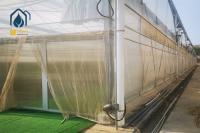 China NFT Hydroponic Multi Span Greenhouse for Leafy Greens Commercial Production WELLGAIN Agricultural Greenhouse Solution for sale
