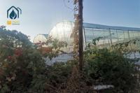 China All Weather Multi Span Greenhouse with Anti-Typhoon Design for Coastal Regions WELLGAIN Agricultural Greenhouse Solution for sale