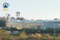 China Heavy Snow Load Rated Multi Span Greenhouse with Strengthened Column Structure WELLGAIN Agricultural Greenhouse Solution for sale