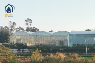 China Heavy Snow Load Rated Multi Span Greenhouse with Strengthened Column Structure WELLGAIN Agricultural Greenhouse Solution for sale