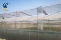 China Heavy Snow Load Rated Multi Span Greenhouse with Strengthened Column Structure WELLGAIN Agricultural Greenhouse Solution for sale