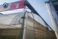China 90km/h Wind Resistant Multi Span Greenhouse with Reinforced Galvanized Steel Frame... for sale