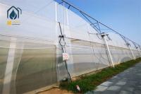 China 90km/h Wind Resistant Multi Span Greenhouse with Reinforced Galvanized Steel Frame... for sale