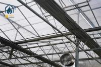 China OEM Custom Multi Span Film Greenhouse with Adjustable Span Width and Roof Height... for sale