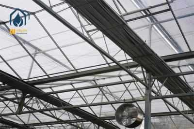 China OEM Custom Multi Span Film Greenhouse with Adjustable Span Width and Roof Height... for sale