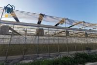 China OEM Custom Multi Span Film Greenhouse with Adjustable Span Width and Roof Height... for sale