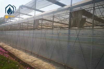 China Tailor-Made Multi Span Agricultural Greenhouse with Flexible Length and Height Options... for sale