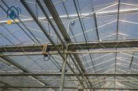 China Tailor-Made Multi Span Agricultural Greenhouse with Flexible Length and Height Options... for sale